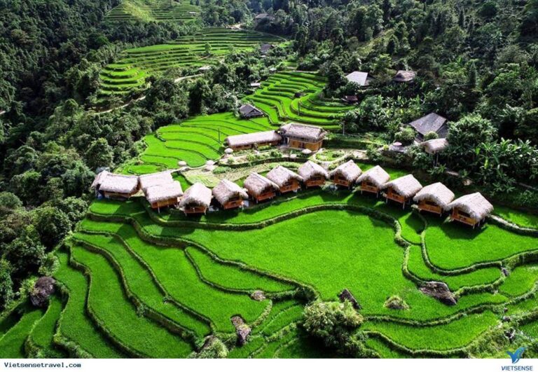 Discover Hoang Su Phi - A Self-Guided Adventure in Ha Giang