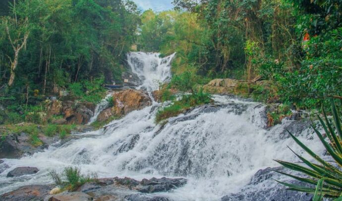 What to do in Da Lat Dalat: Fun Destinations and A-Z Experiences